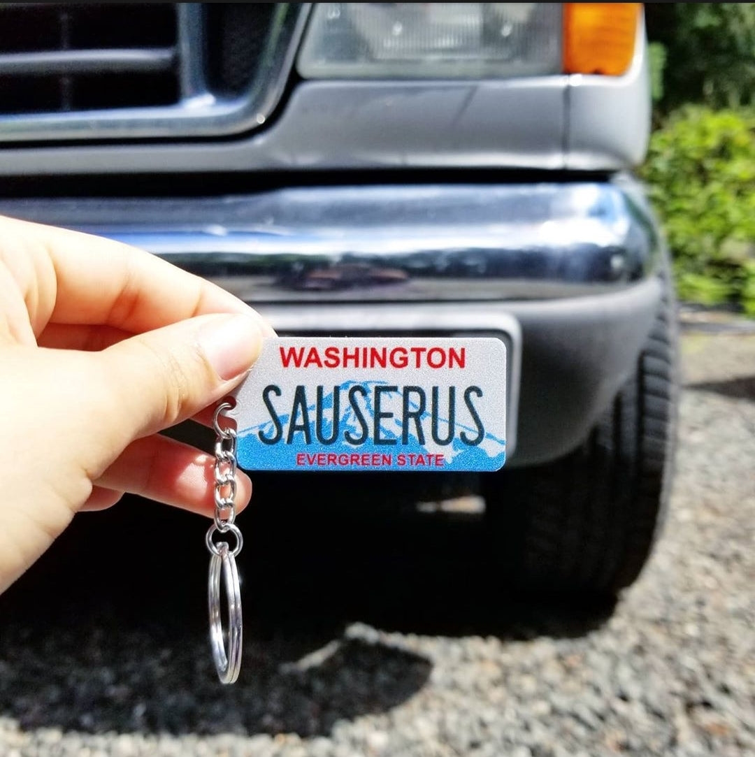 U.S. License Plate Keychains – Placamania