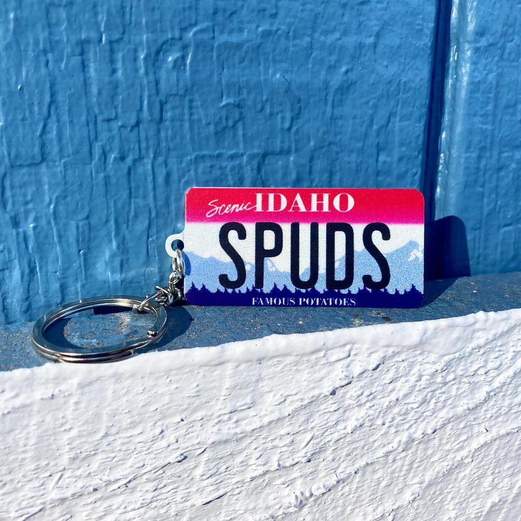 Best Personalized License Plate Keychain – Placamania